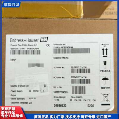 E+H Prosonic Flow 91WA1 Clamp