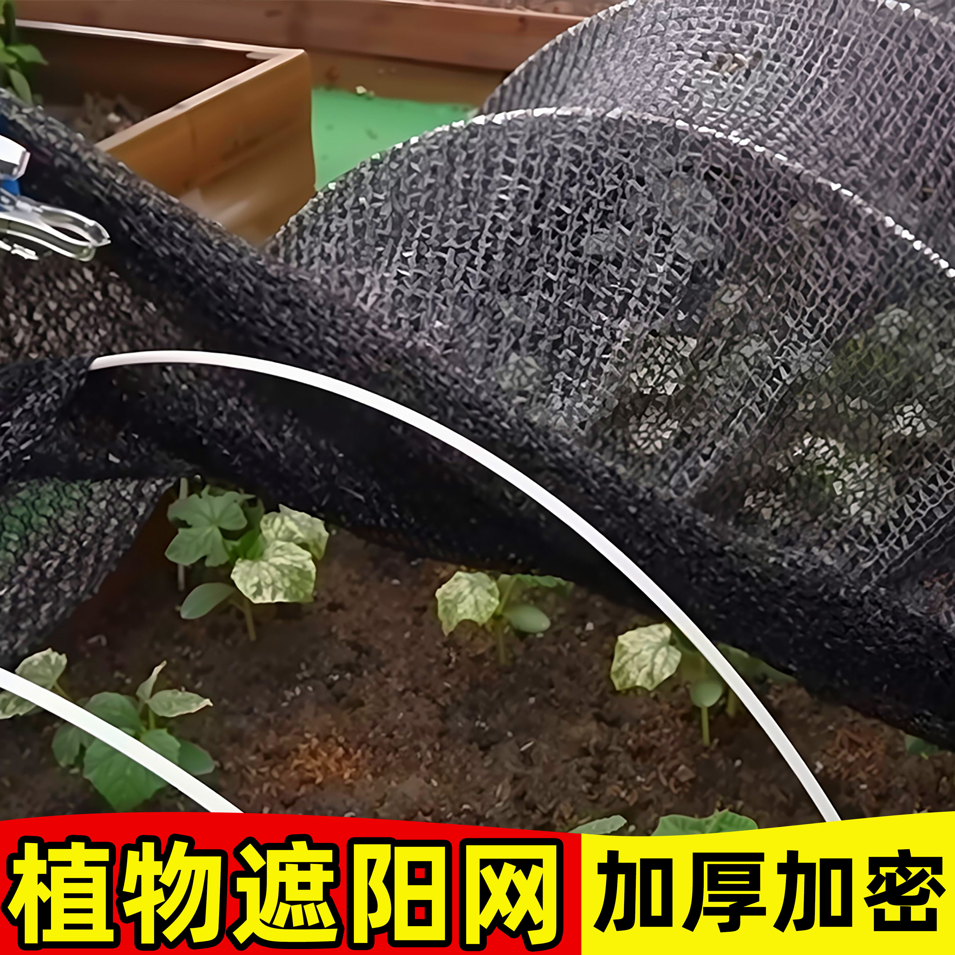 植物遮阳网加密加厚菜地防晒太阳网隔热遮阴菜地防晒网农用花卉