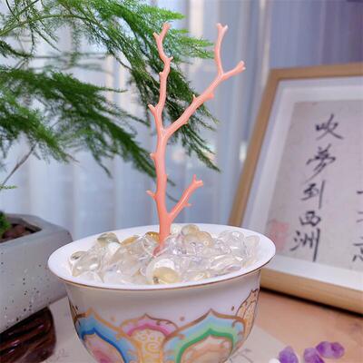 天然台湾莫莫珊瑚树摆件尺寸98.6 x 38.6mm原色momo阿卡粉色颂