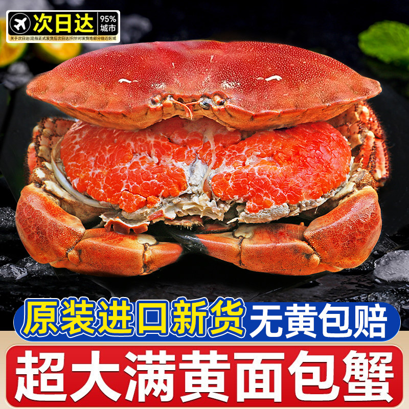 特大面包蟹鲜活熟冻新鲜海鲜水产大螃蟹超大黄金蟹珍宝蟹加热即食