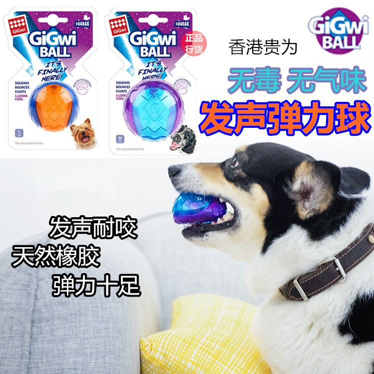 正品香港GiGwi贵为G-Ball狗狗发声弹力玩具球宠物玩具球磨牙耐咬_虎窝淘