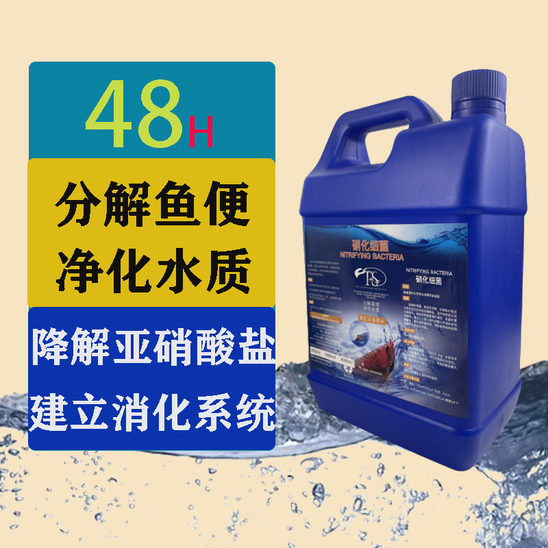硝化细菌锦鲤鱼池净水剂活菌水质稳定剂锦鲤专用消化细菌大桶5L装