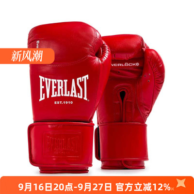 EVERLAST Powerlock OG Pro Bag 真皮沙包训练拳套打靶沙袋手套