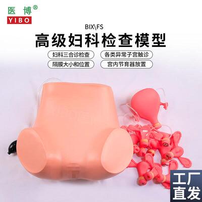 医博BIX-FS高级妇科检查训练模型妇科w子宫病变性触诊检查训练教