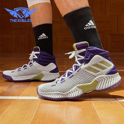 Adidas/阿迪达斯正品PRO BOUNCE 2018男女运动篮球鞋IG4495