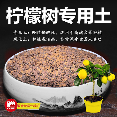 柠檬树专用土赤玉土风化土风化石颗粒土酸性土红土专用肥玉肥营养