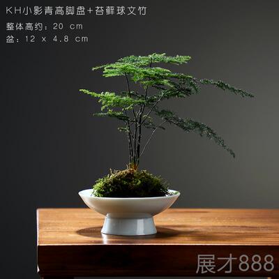 正品汉鸿 创意办室摆件微面景公观禅茶意花盆客厅室桌盆景家居装