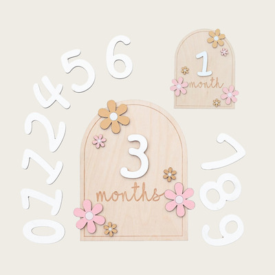 ins月龄宝宝新生儿出生月份牌木质小雏菊纪念牌婴儿里程碑卡片