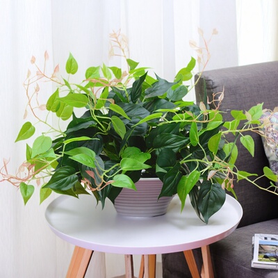 仿真花草植物客厅摆放假植物绿植仿真绿萝室内外装饰塑料盆栽花艺