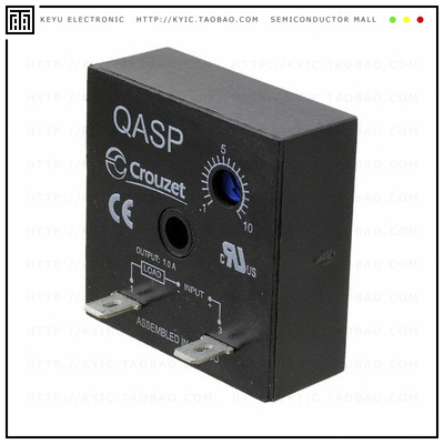 QASP100S110ADL【RELAY TIME DELAY 100SEC CHASSIS】