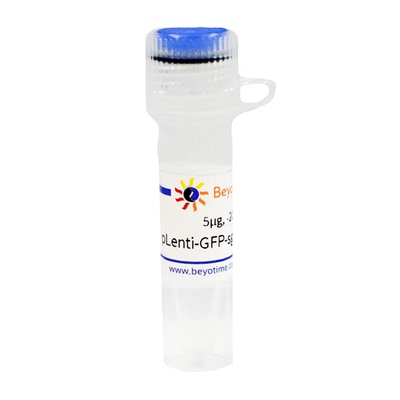 pLenti-GFP-sgRNA碧云天生物   L00013