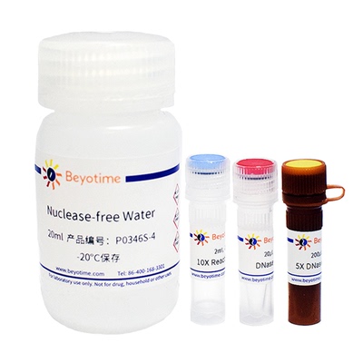 DNase I残留检测试剂盒 P0346 碧云天