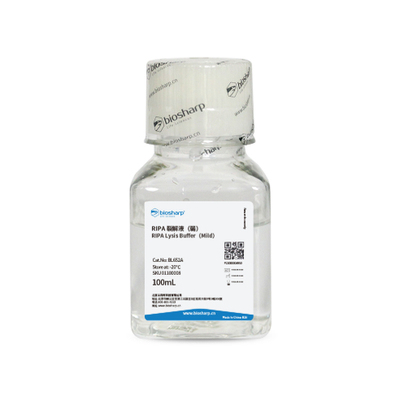 Biosharp/白鲨 RIPA裂解液（弱） BL652A 100ml/瓶