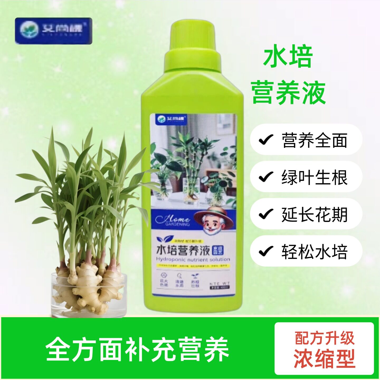 禄根生姜一桶姜山水培营养液室内桌面盆栽植物鲜切花浓缩水溶肥料