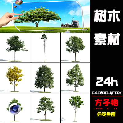 方子C4D模型54款室外户外野外树木园林景观植物3d立体素材库 Z003