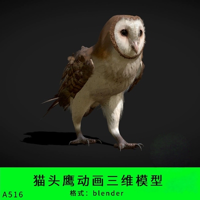 三维猫头鹰模型3d素材blender写实动物夜猫子