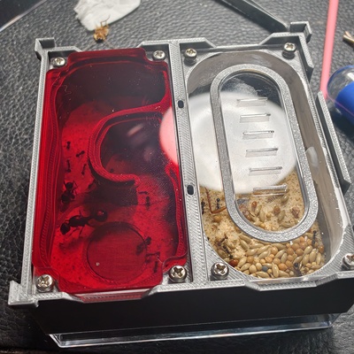 明哥蚂蚁宠物饲养巢无蚂蚁适合牛蚁弓背收获蜜罐小群落一体位多水