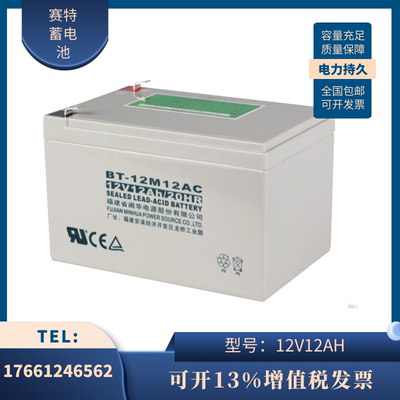 赛特蓄电池海湾消防主机UPS电源