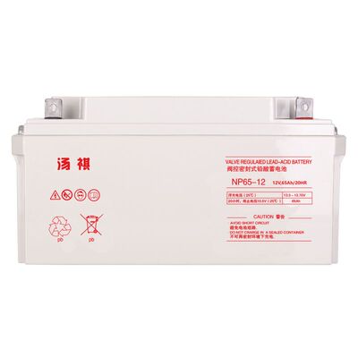 汤祺蓄电池NP65-12机房UPS/EPS安防12V65Ah直流屏消防主机通讯