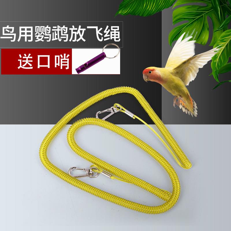 八哥鹦鹉类放飞绳内置钢丝鸟用脚链脚环牵引绳外出遛鸟绳