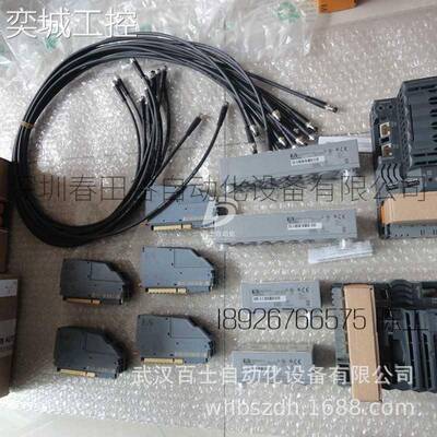 奥地利B&R贝加莱伺服驱动器电缆8CE005.12-1 制定议价