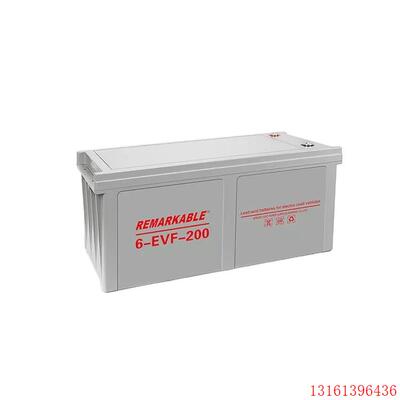 REMARKABLE蓄电池6-EVF-200铅酸免维护动力观光车高尔夫球车专用