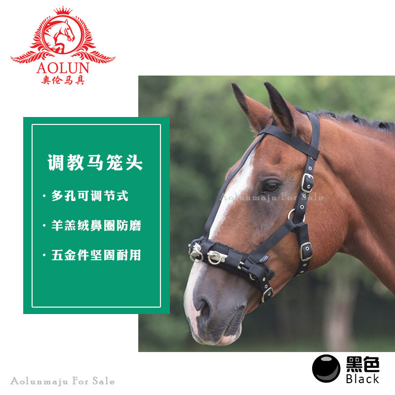 调教牵马笼头马匹调教用品奥伦马具马术用品马匹装备训马龙头