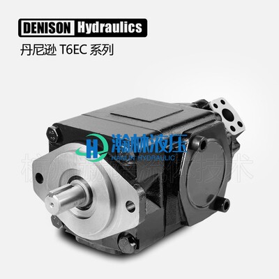 Denison 丹尼逊 T6EC 062 028 1R00 叶片泵/液压油泵
