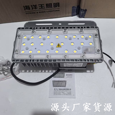 海洋王NTC9280B高杆投光灯IP66