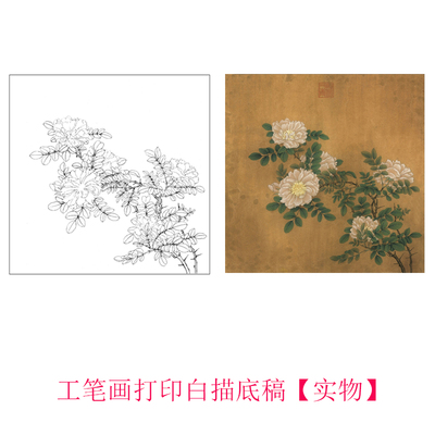 工笔画打印白描底稿临摹线描素材