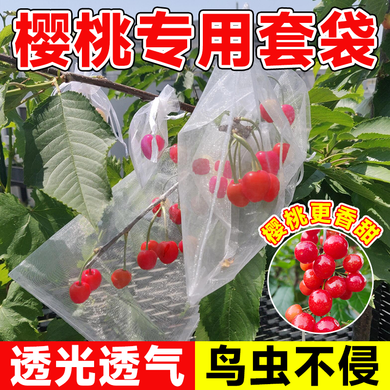樱桃专用套袋果袋车厘子防虫防鸟袋子葡萄无花果石榴桃子水果网袋