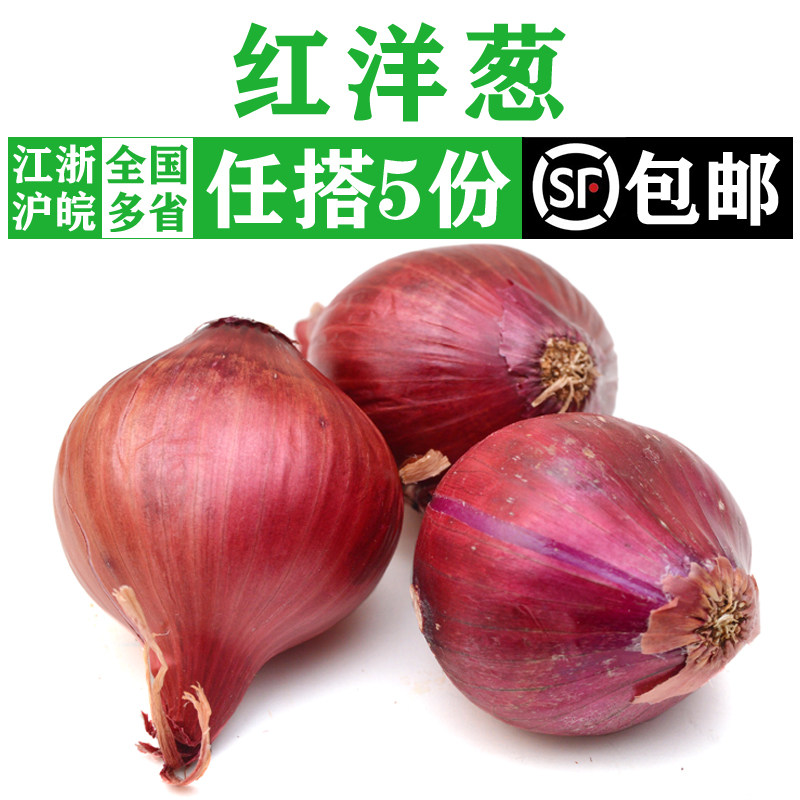 红洋葱500g 紫皮洋葱 大洋葱头 圆葱新鲜蔬菜 食用调料香料配菜