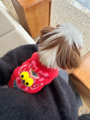 龙年狗狗过年喜庆衣服泰迪比熊雪纳瑞法斗马尔济斯小型犬毛衣狗狗