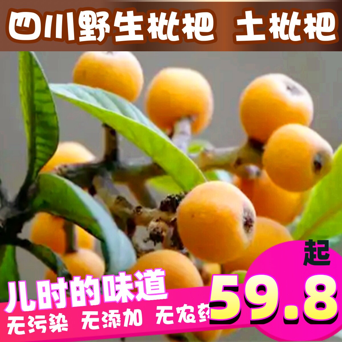 四川野生枇杷土琵琶新鲜孕妇水果纯天然无污染野枇杷非米易现摘中