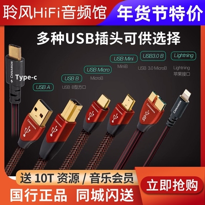 线圣AQ肉桂Cinnamon解码耳放线AB