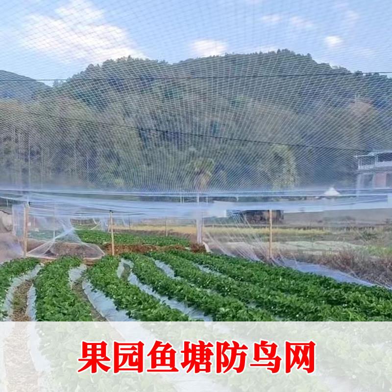 果园防鸟网防鸟蓝莓葡萄果树天网鱼塘牛蛙养殖整体全覆盖露天天网