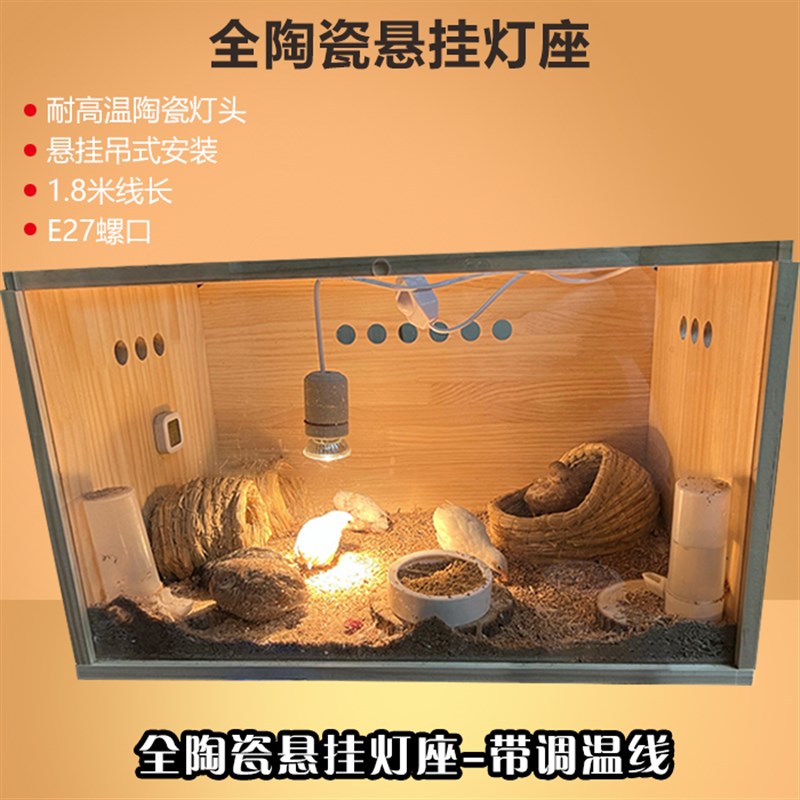 芦丁鸡保温灯自动温控器恒温灯y取暖灯养殖箱育雏灯小鸡加温加热