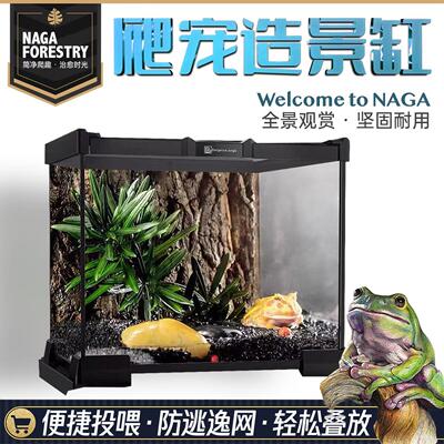 爬宠饲养箱守宫睫角蜥蜴蜘蛛角蛙蛇蝎水陆两栖生态造景雨林玻璃缸