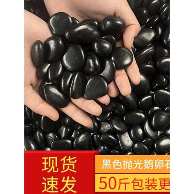 50斤黑色鹅卵石庭院花园造景铺路铺地大小石头天然雨花石原石黑石