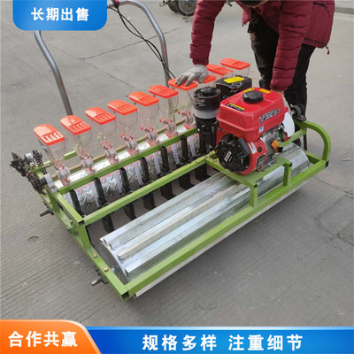 高效率种菜育苗播种机 柴胡洋葱萝卜精播机 自走式汽油点播机