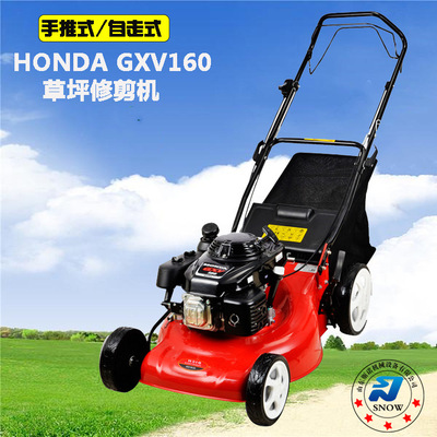 GXV160自走式草坪机 市政园林景区公园绿化草坪修剪机 除草剪草机