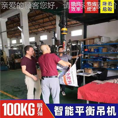 动沈芦阳智能COR衡吊产品线组装车平间kbk柔性轨道电葫悬浮吊提升