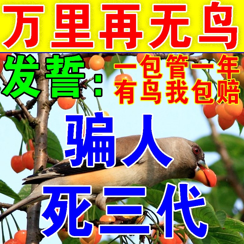 【鸟飞绝】驱鸟高效农田水稻赶鸟神器果园家用阳台驱鸟剂香精包