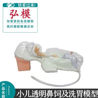 弘模小儿多功能透明鼻饲及洗胃模型 练习示教培训演示胃管插入模