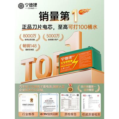 宁德锂电池电动喷雾器专用蓄电池12V大容量农用电瓶背负式配件理