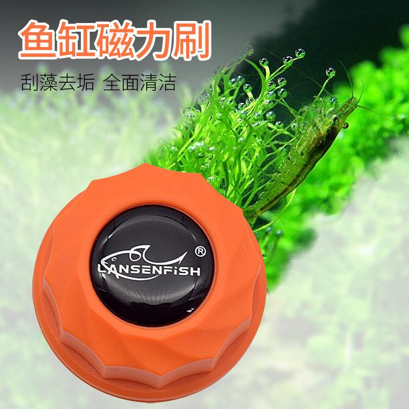 蓝鱼鱼缸刷迷你强力磁力刷小型擦玻璃缸除藻鱼缸清洁用具清洗鱼缸