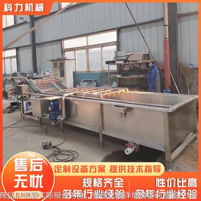 全自洗菜动 清果蔬气泡清洗果蔬设机备 芒果气QMP泡洗机