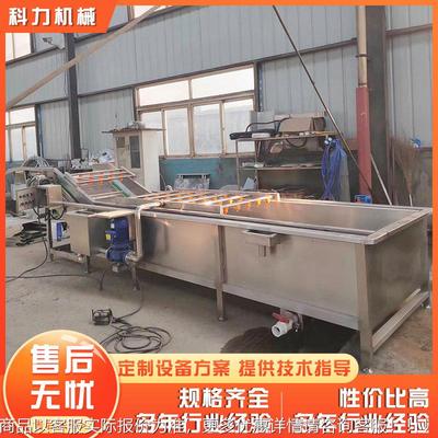 蔬菜气泡清洗UPD机带叶青菠菜白菜气泡清洗菜机  商用速清快洗机