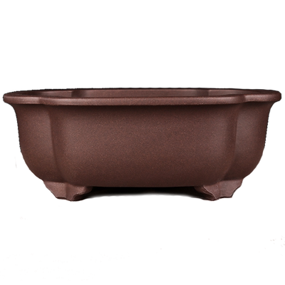 蔓木人紫砂宜兴紫砂花盆盆景盆海棠长方形紫泥手工精品树桩素面