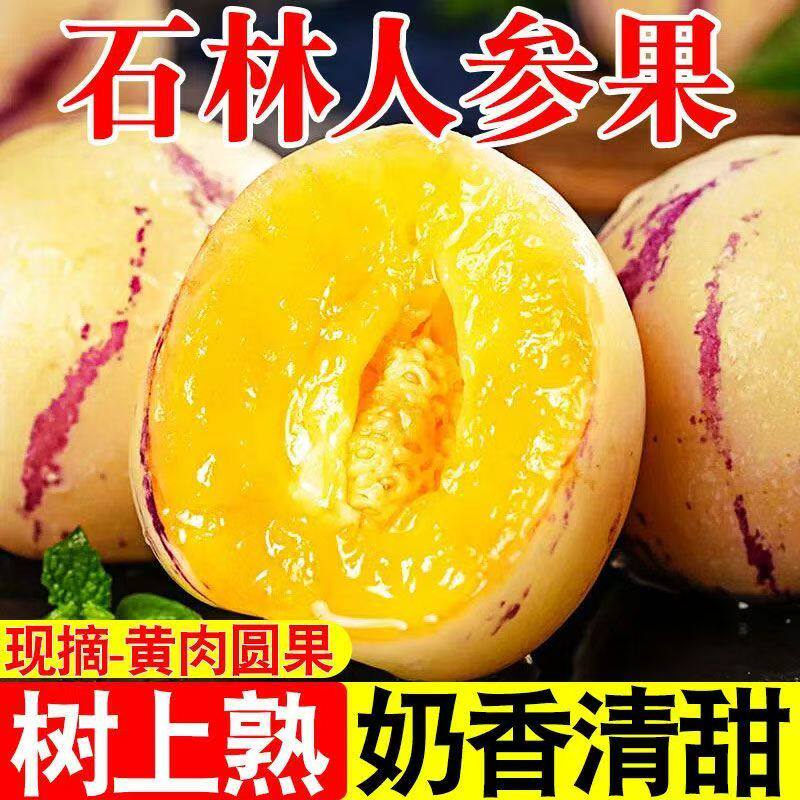 【自然熟】云南石林人参果大果圆果当季新鲜黄肉人生果应季水果
